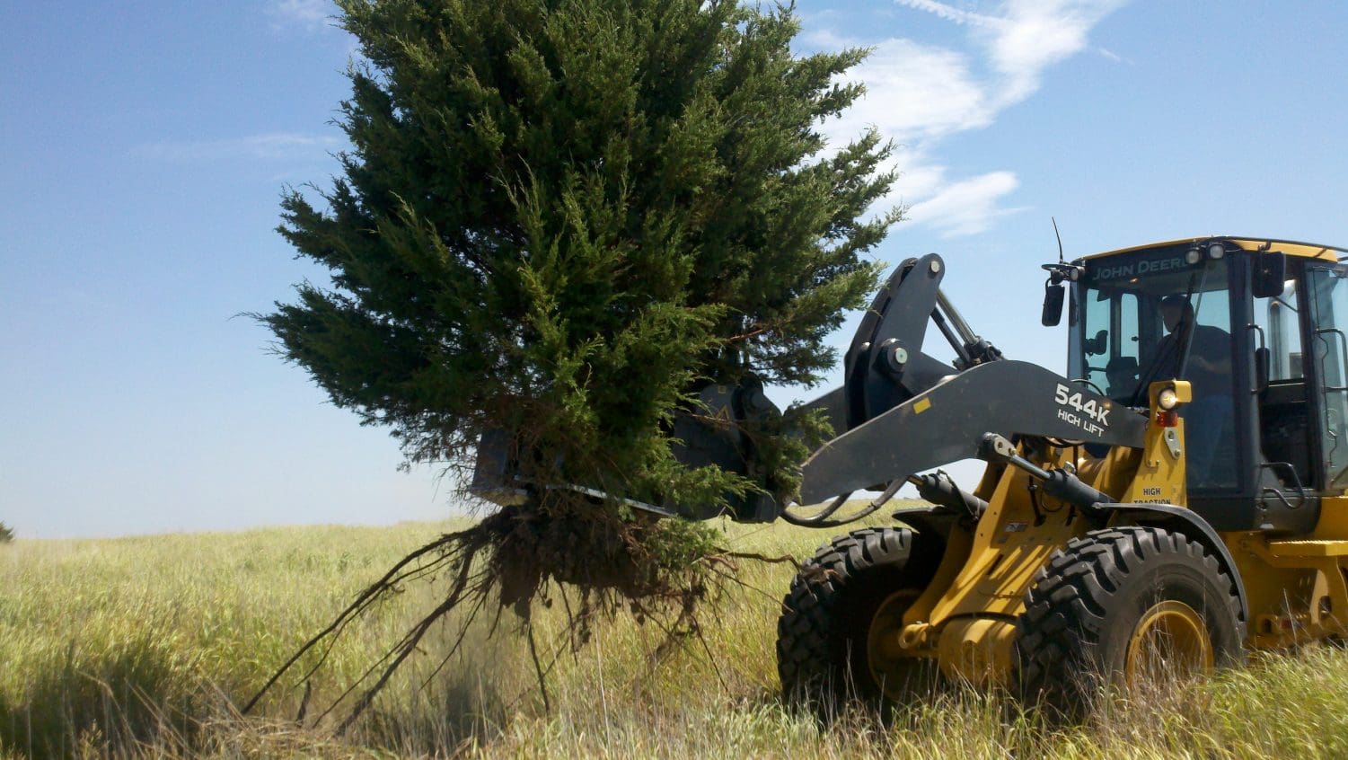 Custom Solutions Tree Shear 2 - Dymax Inc